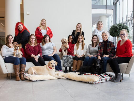 Meet Our Customer Experience Team | Purina NO